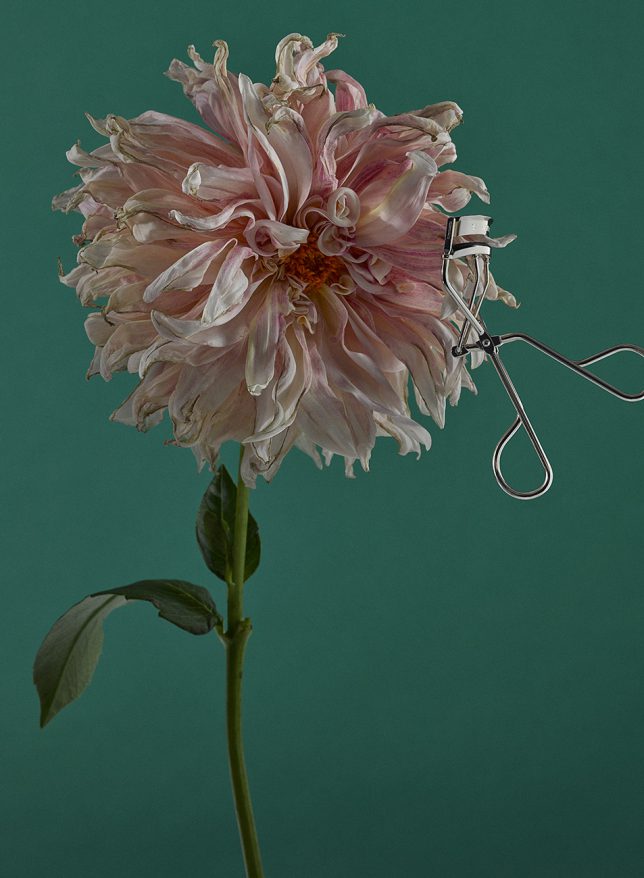 HAIDEE FINDLAY-LEVIN